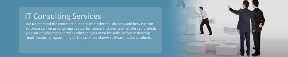 Infinity Informatics | IT Consulting, IT & Non-IT Staffing...